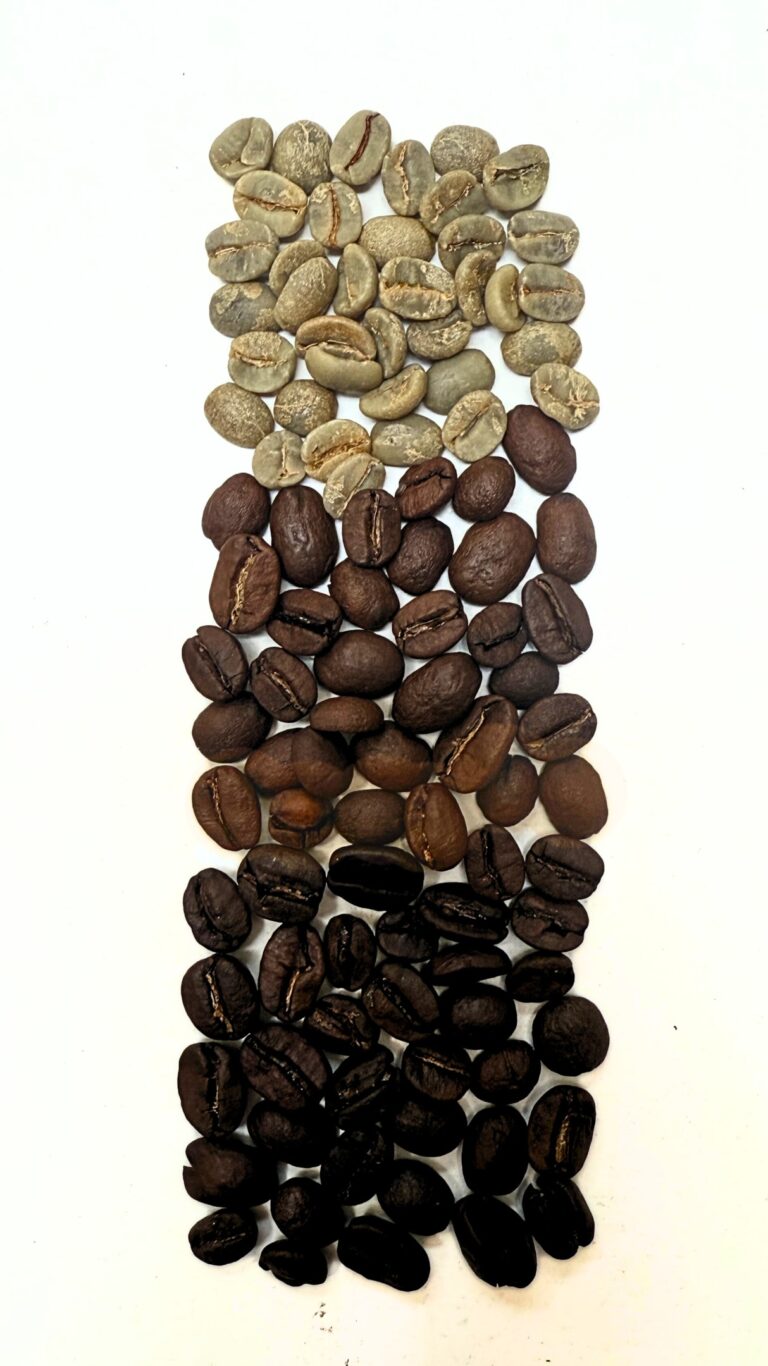 Coffee Roasting Process Explained: From Bean to Brew