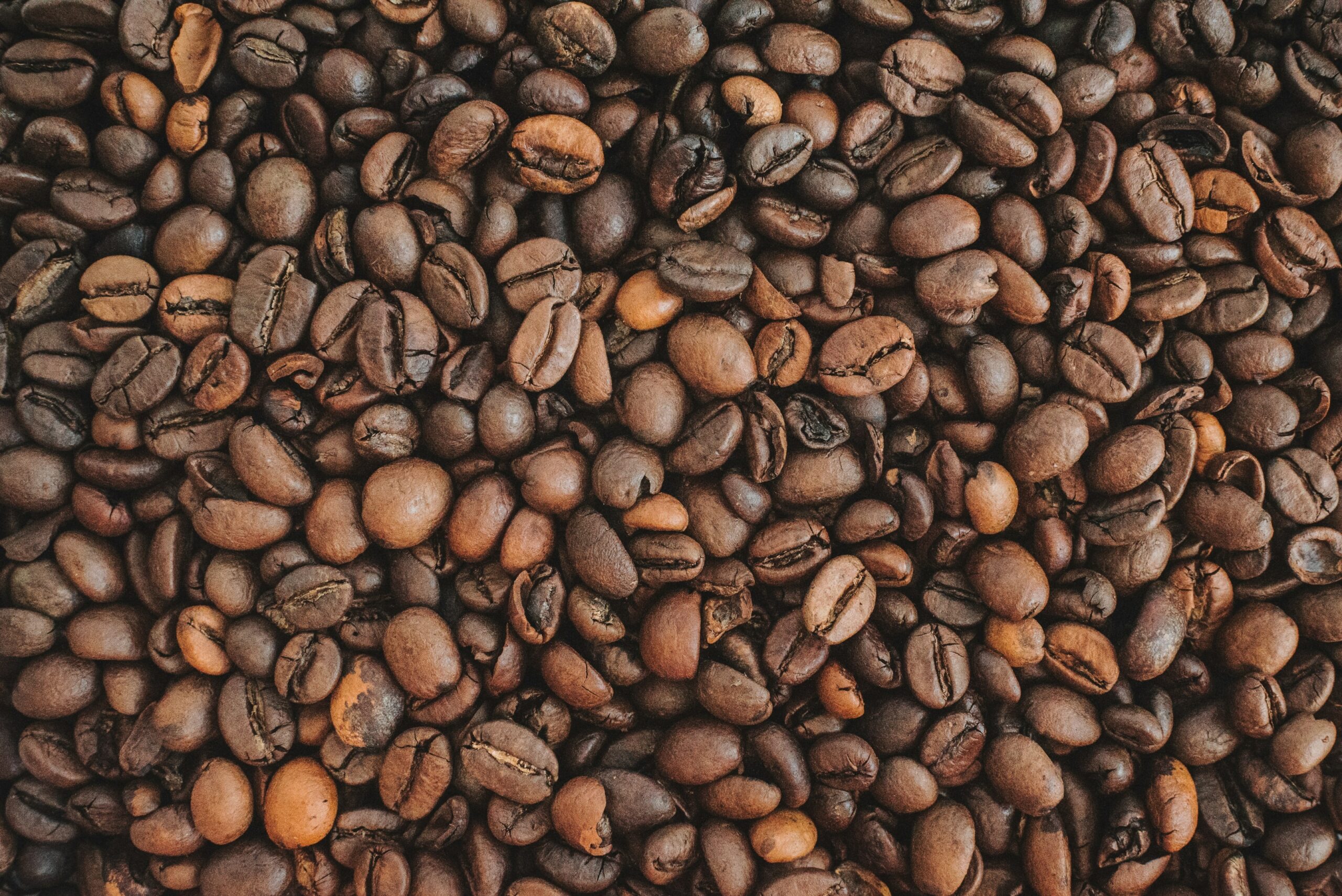 Types of Coffee Beans: The Complete Guide - Beanworks
